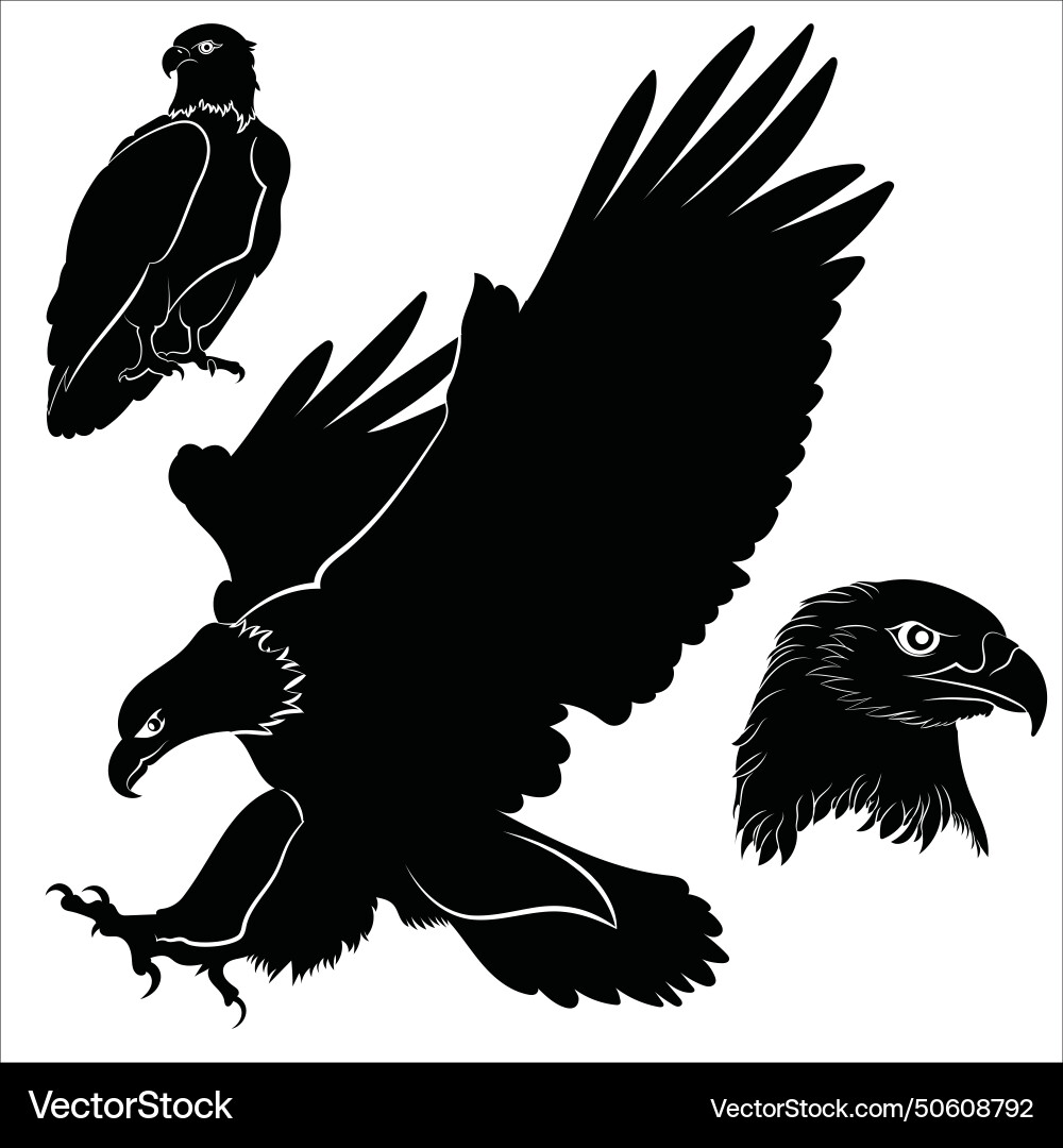 Eagle - three variations Royalty Free Vector Image