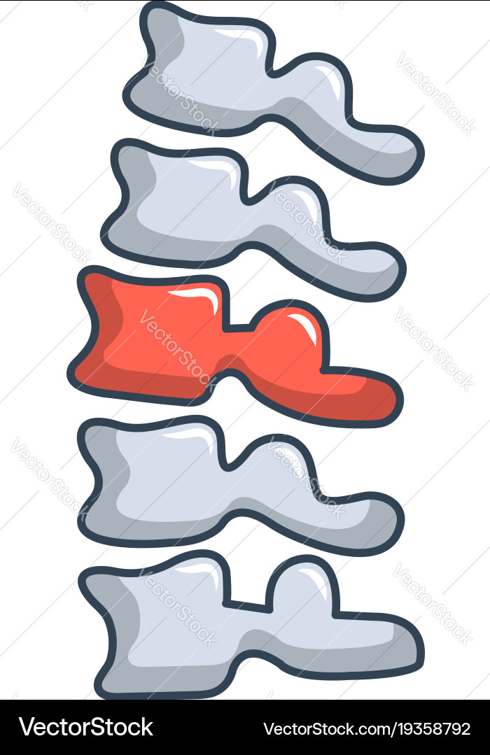 Vertebrae icon cartoon style Royalty Free Vector Image