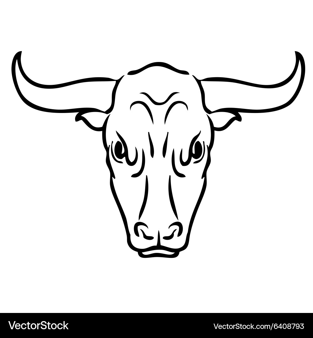 Bull head Royalty Free Vector Image - VectorStock