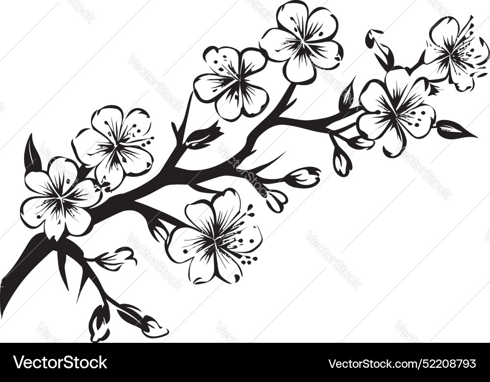 Shadowed sakura silhouette black logo on twig Vector Image