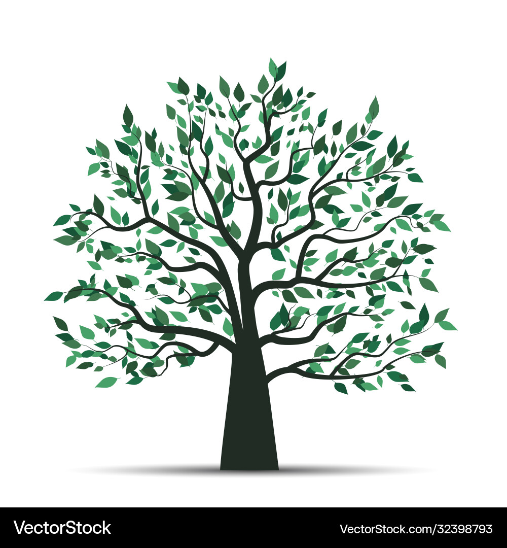 Trees with leaves Royalty Free Vector Image - VectorStock