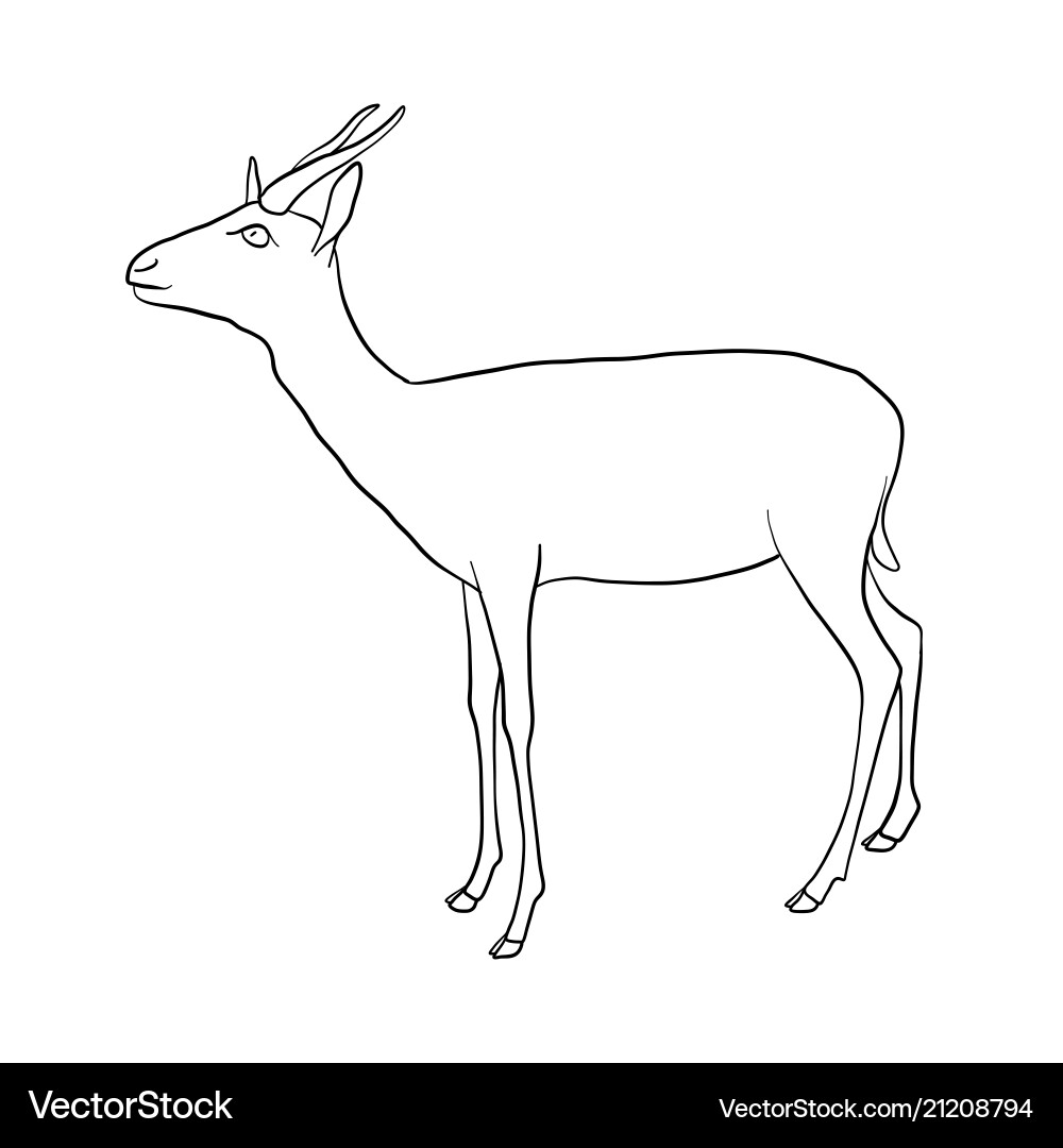 Drawing antelope Royalty Free Vector Image - VectorStock