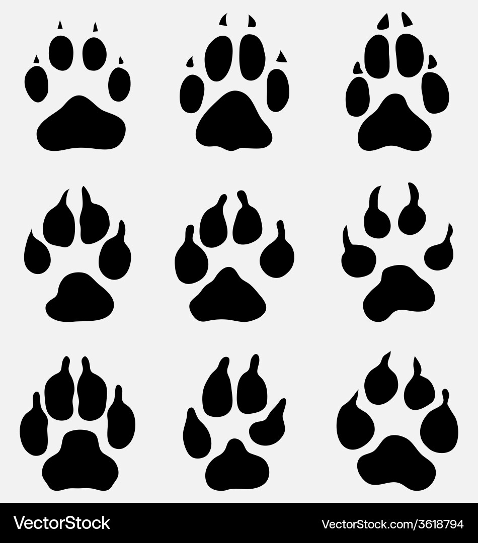 Paw of dogs Royalty Free Vector Image - VectorStock