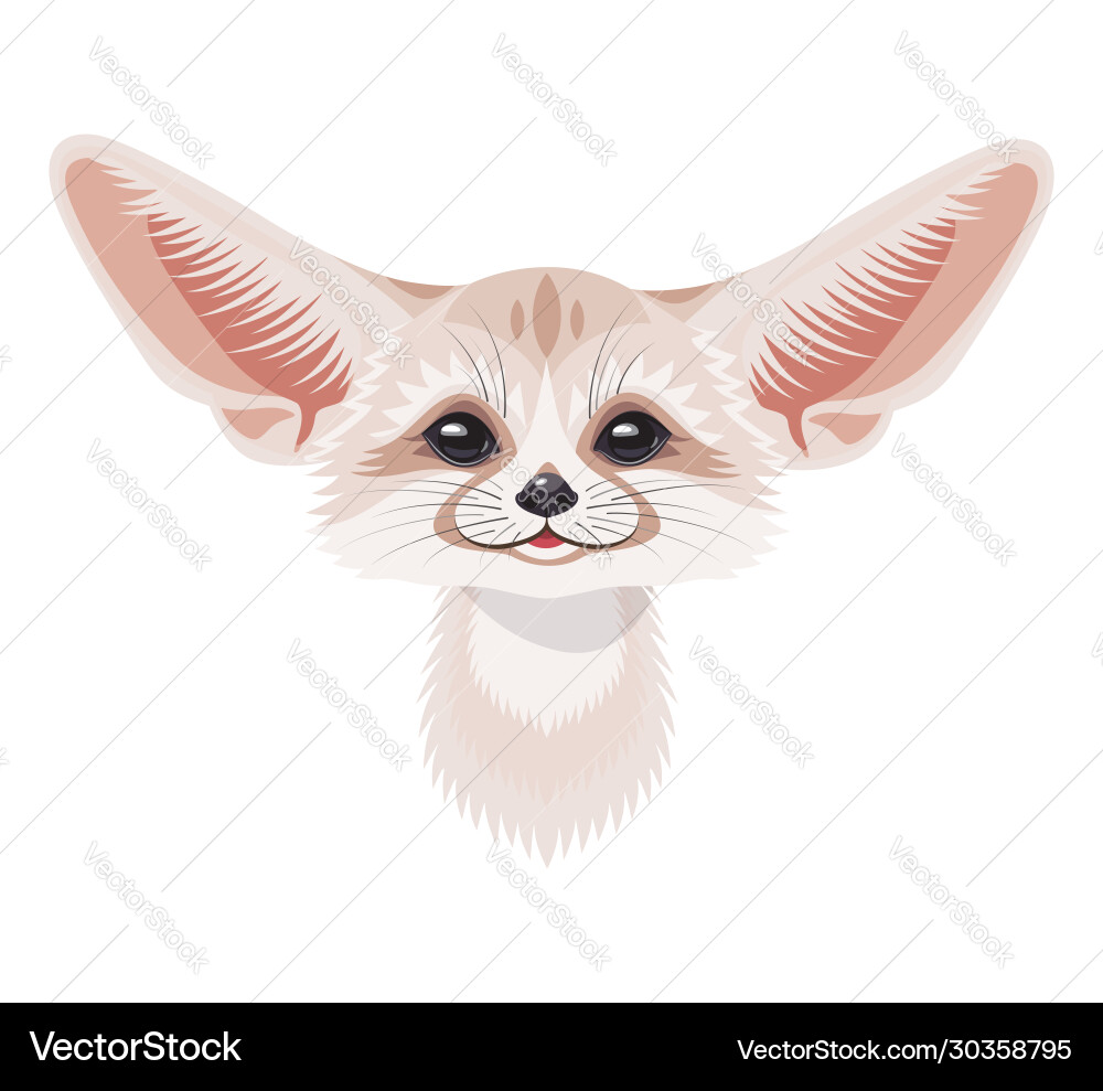 Cartoon fennec fox portrait on white Royalty Free Vector