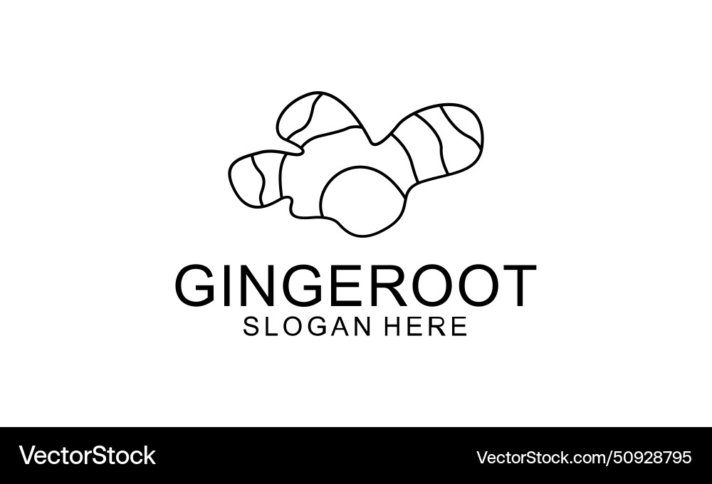 Ginger root logo round linear logo of ginger Vector Image