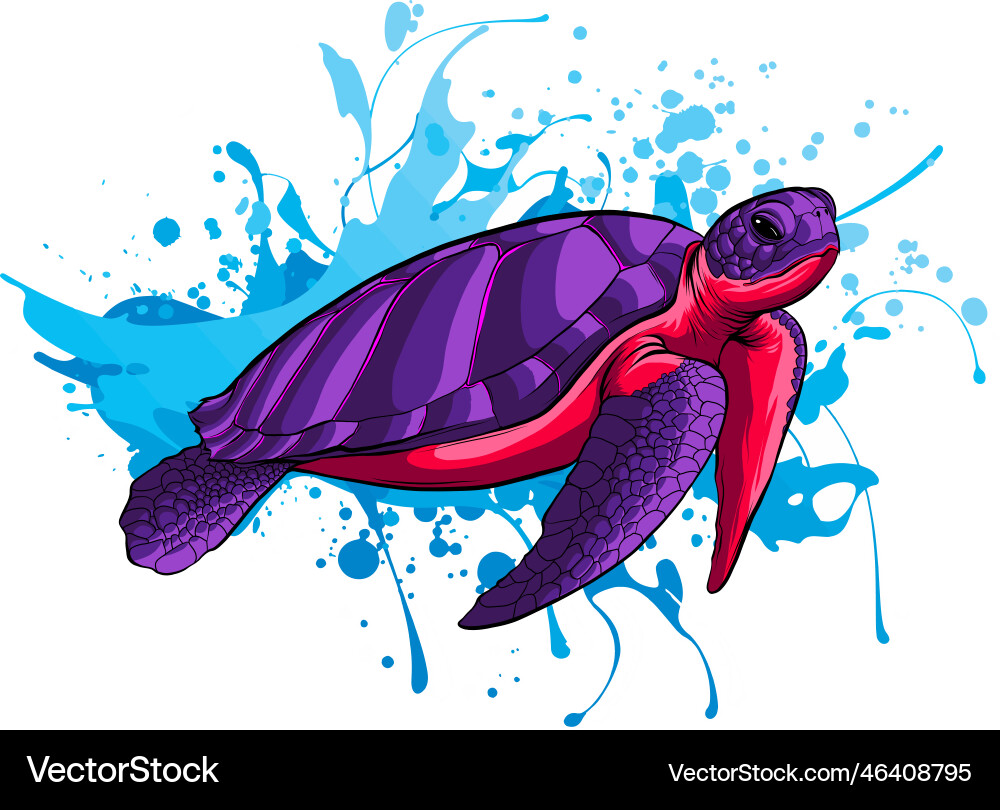 Sea turtle colored drawing Royalty Free Vector Image