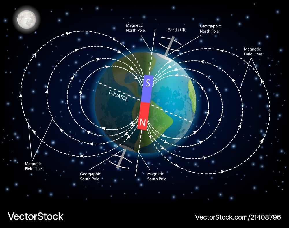 Earth's Magnetic Field Diagram Royalty Free Vector Image