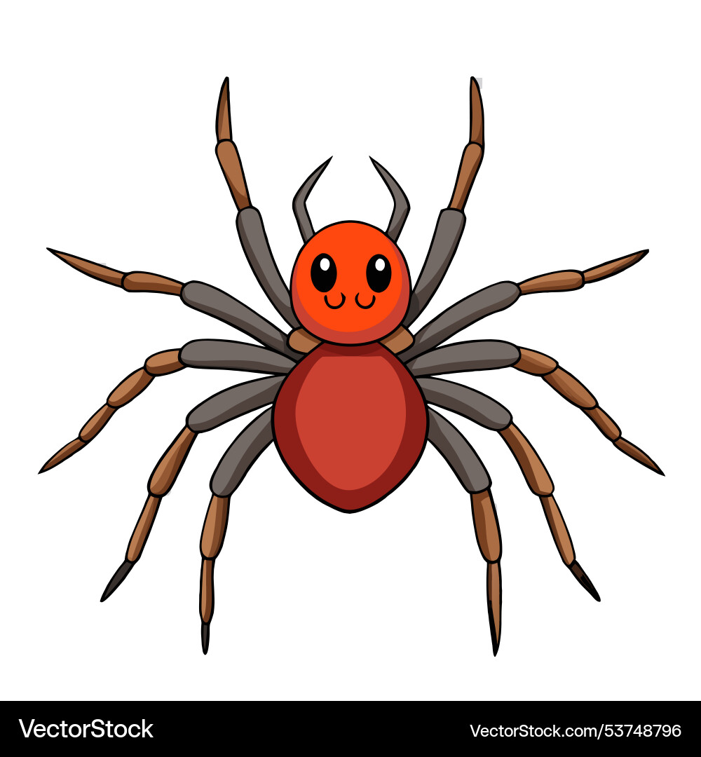 Spider isolated on transparent background Vector Image