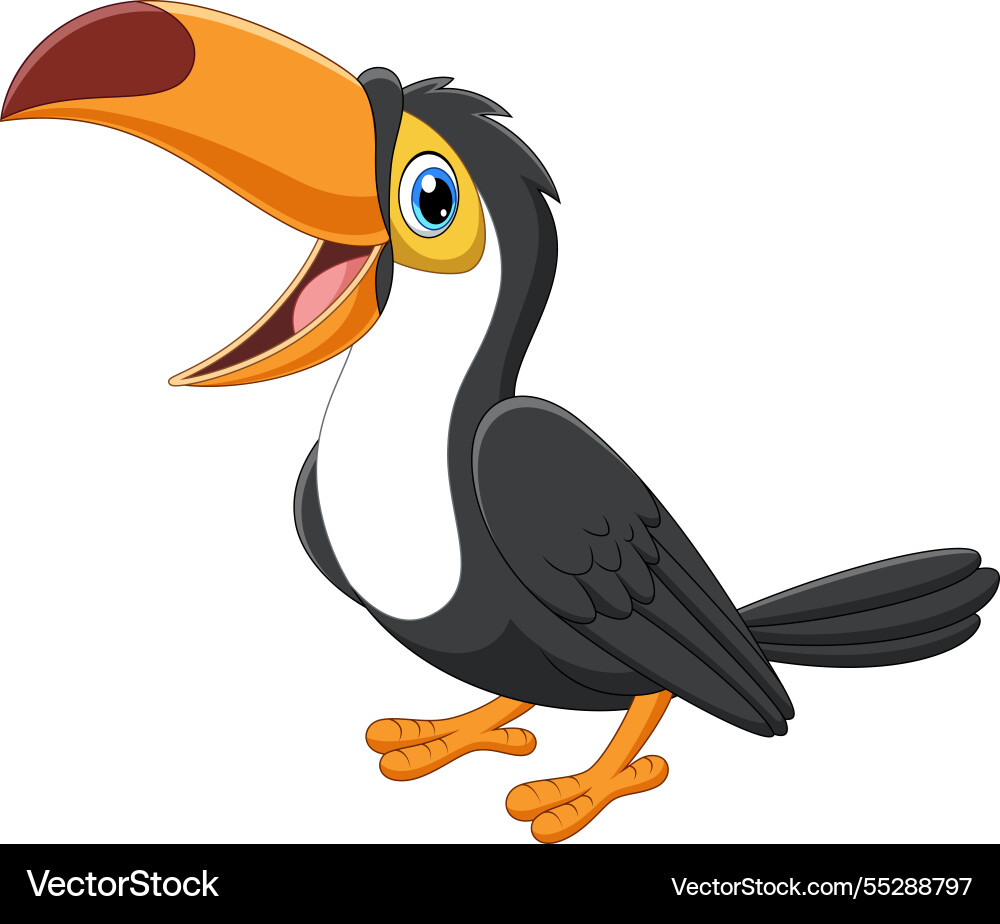 Cartoon funny toucan Royalty Free Vector Image