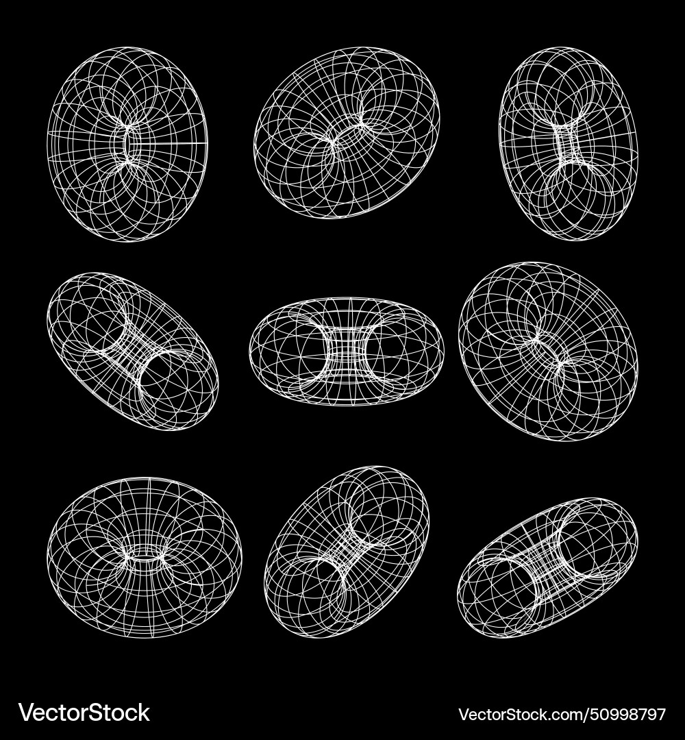 Wireframe shapes lined torus perspective mesh Vector Image
