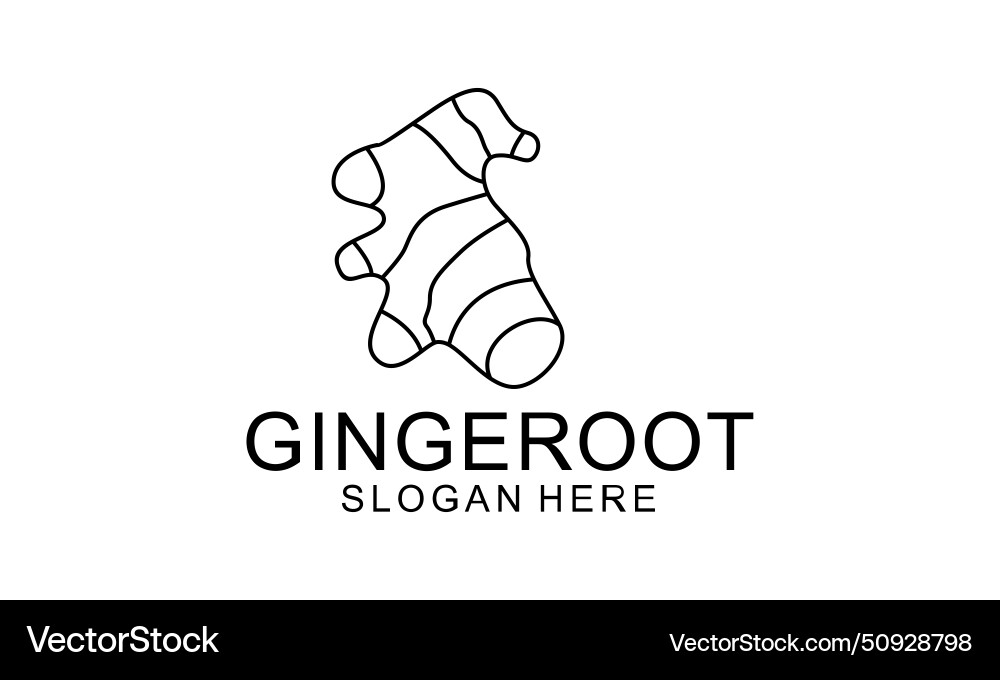 Ginger root logo round linear logo of ginger Vector Image