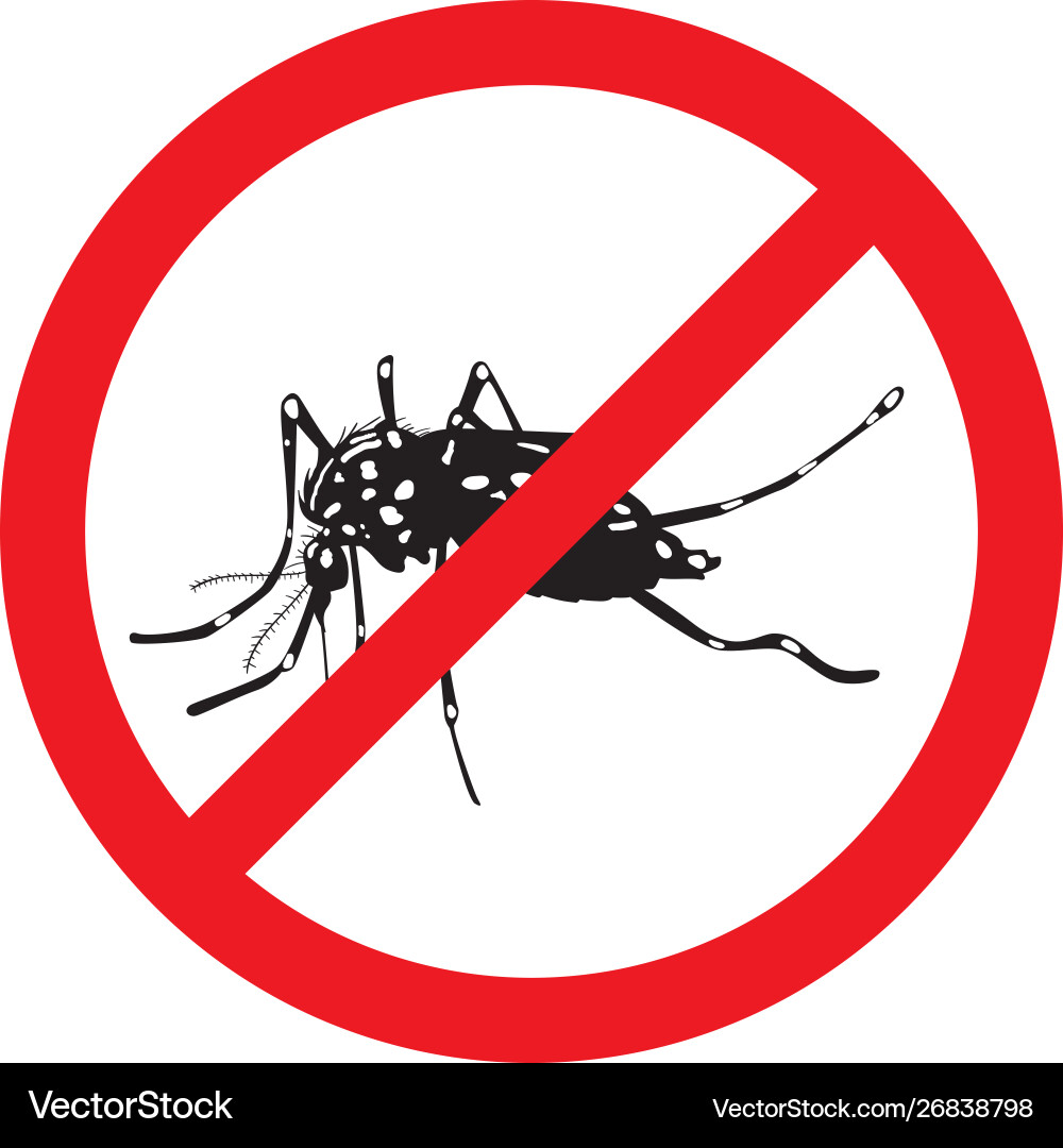 Warning plank mosquito Royalty Free Vector Image