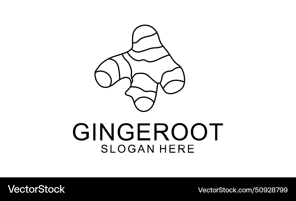 Ginger root logo round linear logo of ginger Vector Image