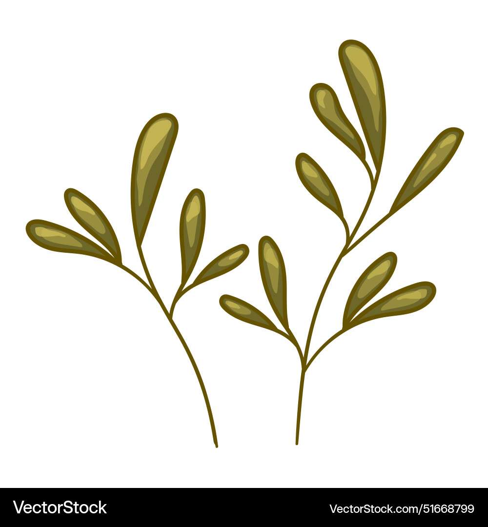 Underwater green seaweed waves algae on a white Vector Image