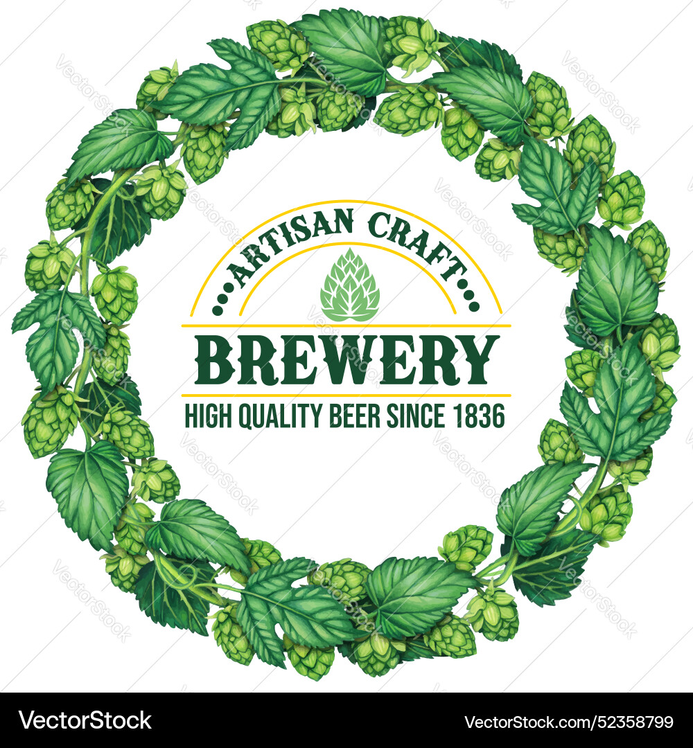Watercolor hand drawn hops Royalty Free Vector Image