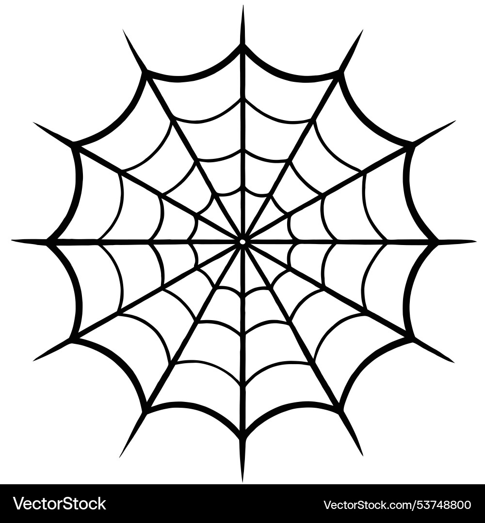 Detailed Spider Web on White Royalty Free Vector Image