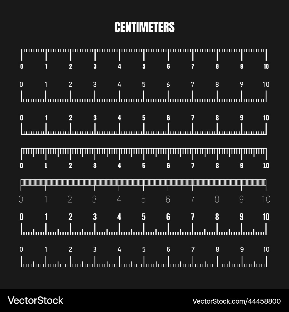 Realistic white centimeter scale for measuring Vector Image