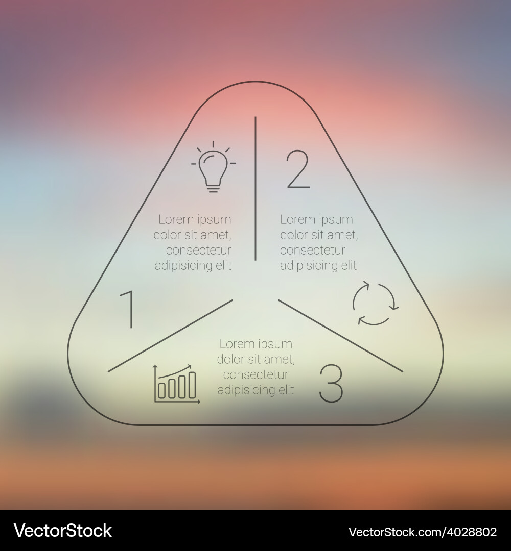 Circle line triangle infographic template Vector Image