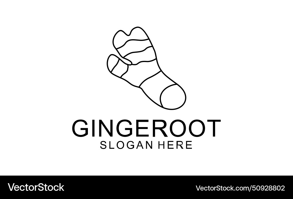 Ginger root logo round linear logo of ginger Vector Image