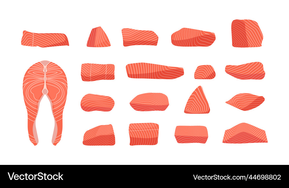 Salmon collection fresh raw red fish slices Vector Image