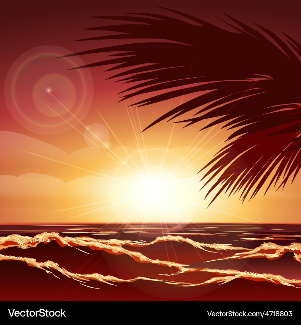 Sunset Royalty Free Vector Image - VectorStock