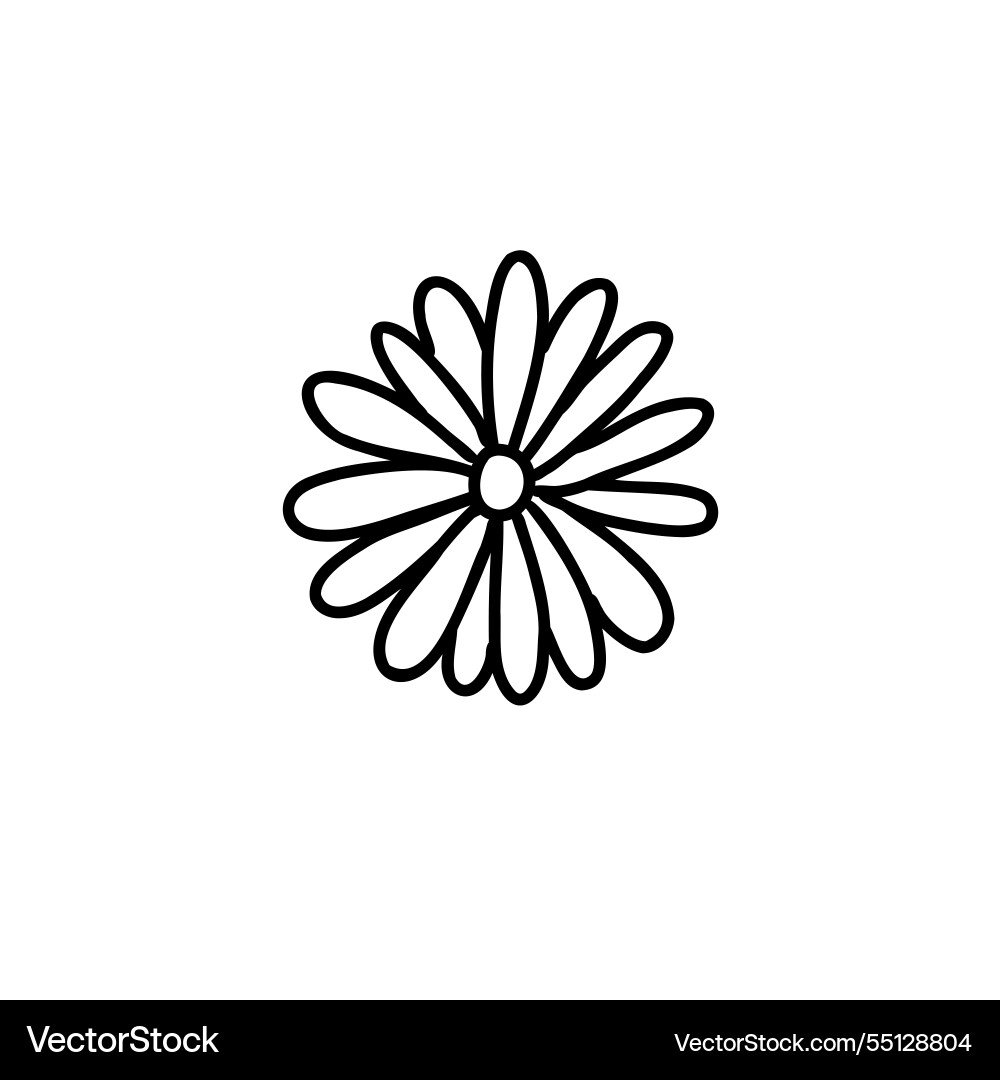 Daisy flower in simple doodle style hand drawn Vector Image
