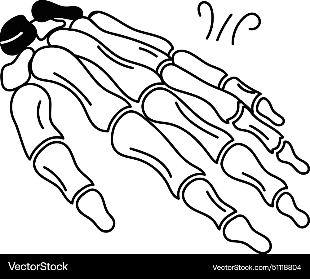 Skeleton wrist Royalty Free Vector Image - VectorStock