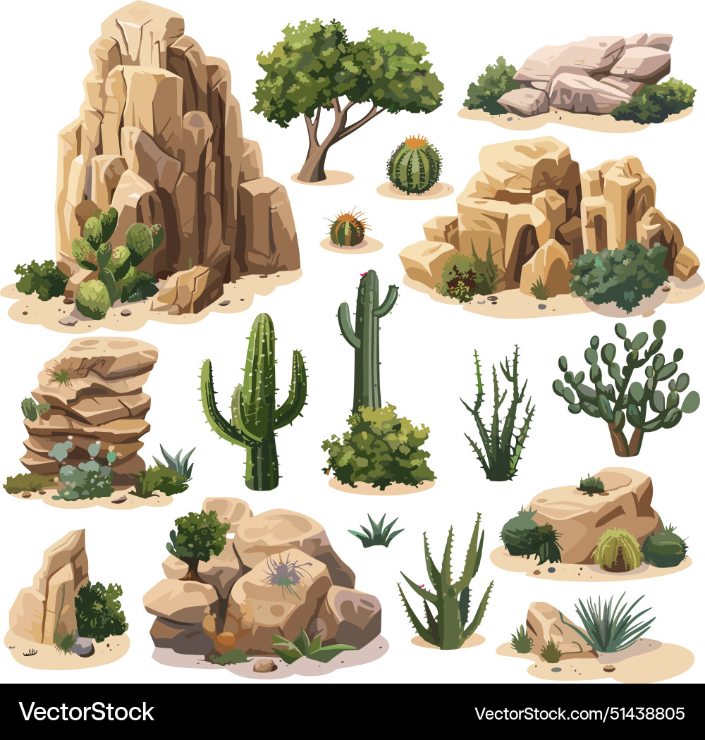 Desert flora cartoon set stones rocks Royalty Free Vector