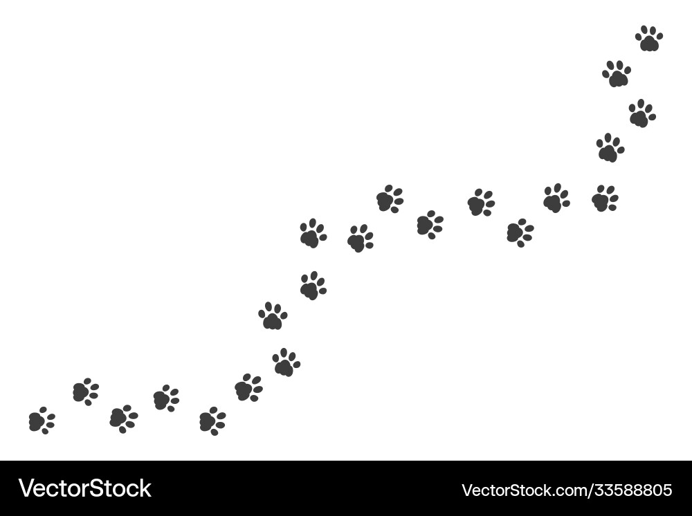 Paw Prints on White Background Royalty Free Vector Image