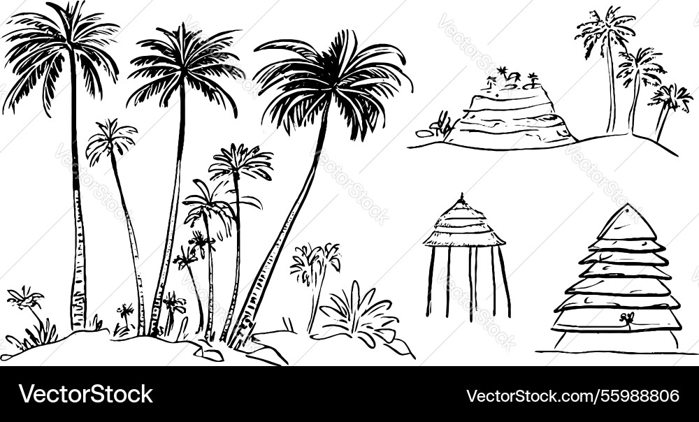 A collection of hand-drawn tropical elements Vector Image