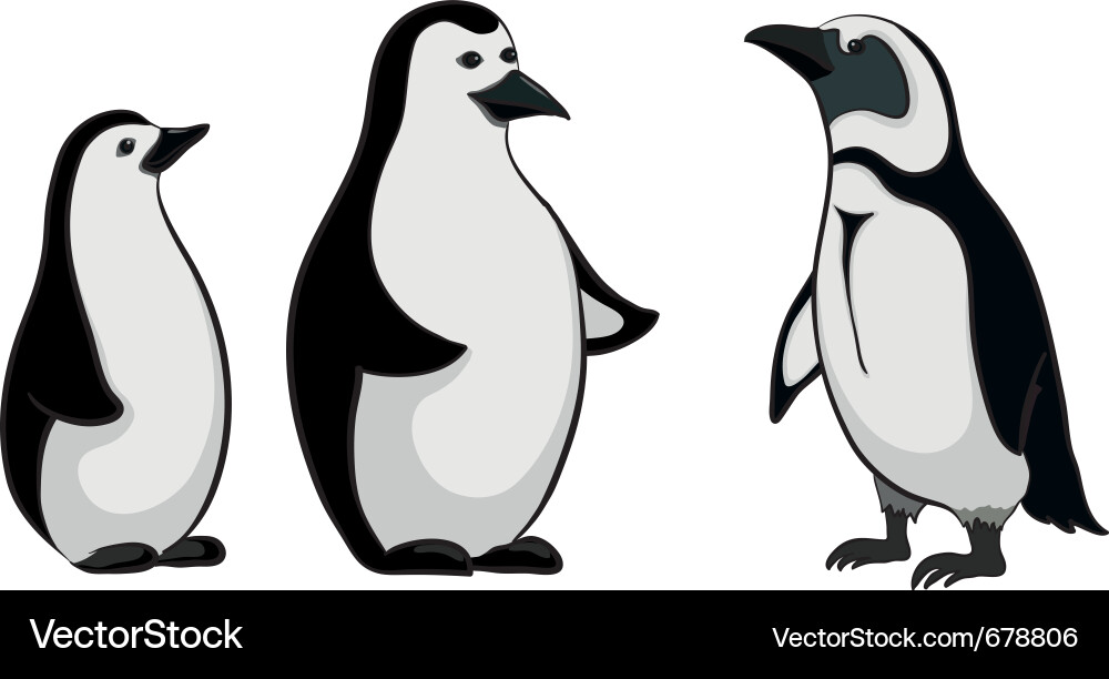 Penguin 3d Vector Images (over 1,000)
