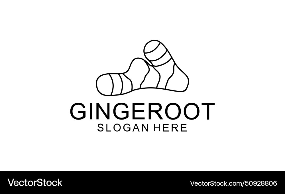 Ginger root logo round linear logo of ginger Vector Image