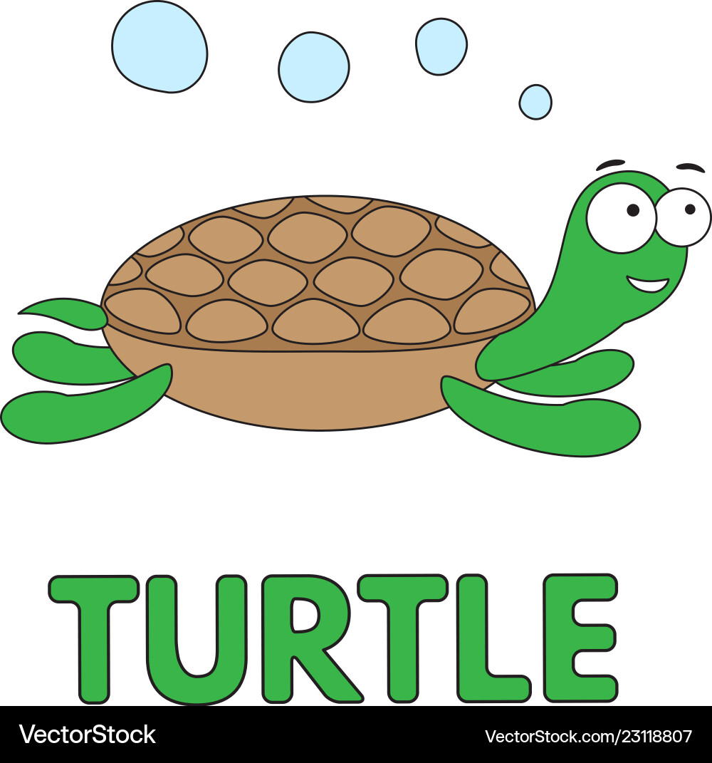Cartoon turtle flashcard for children Royalty Free Vector