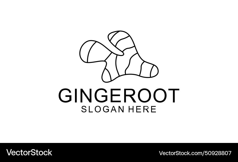 Ginger root logo round linear logo of ginger Vector Image