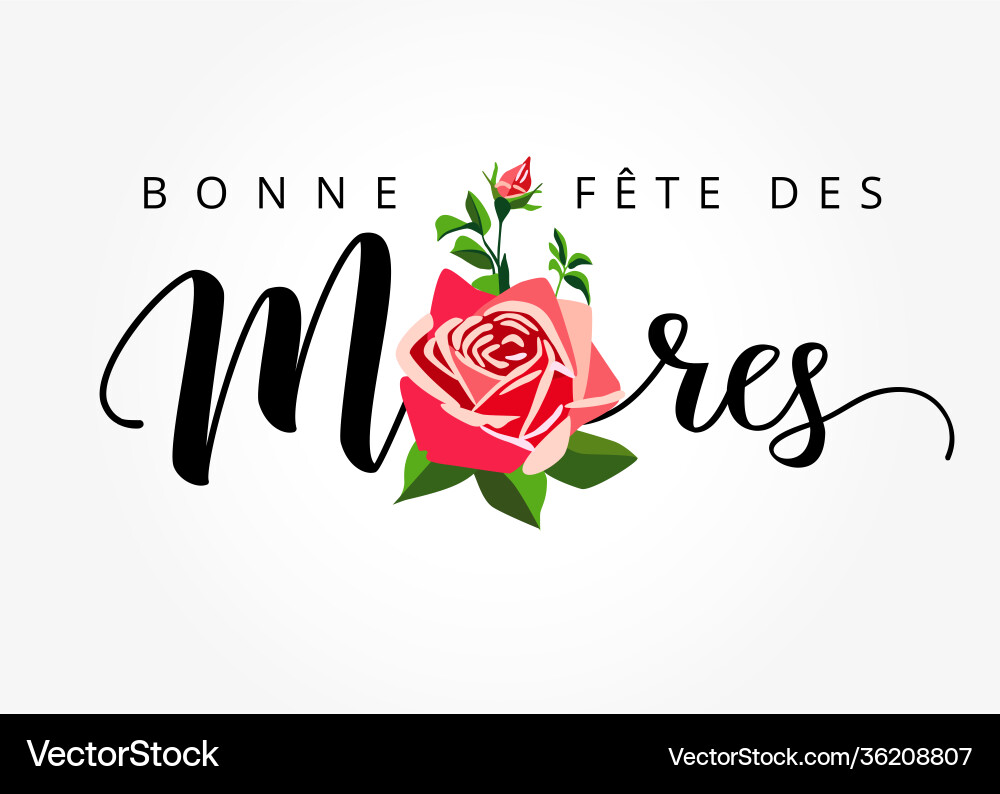 Happy mothers day - bonne fete des meres card Vector Image