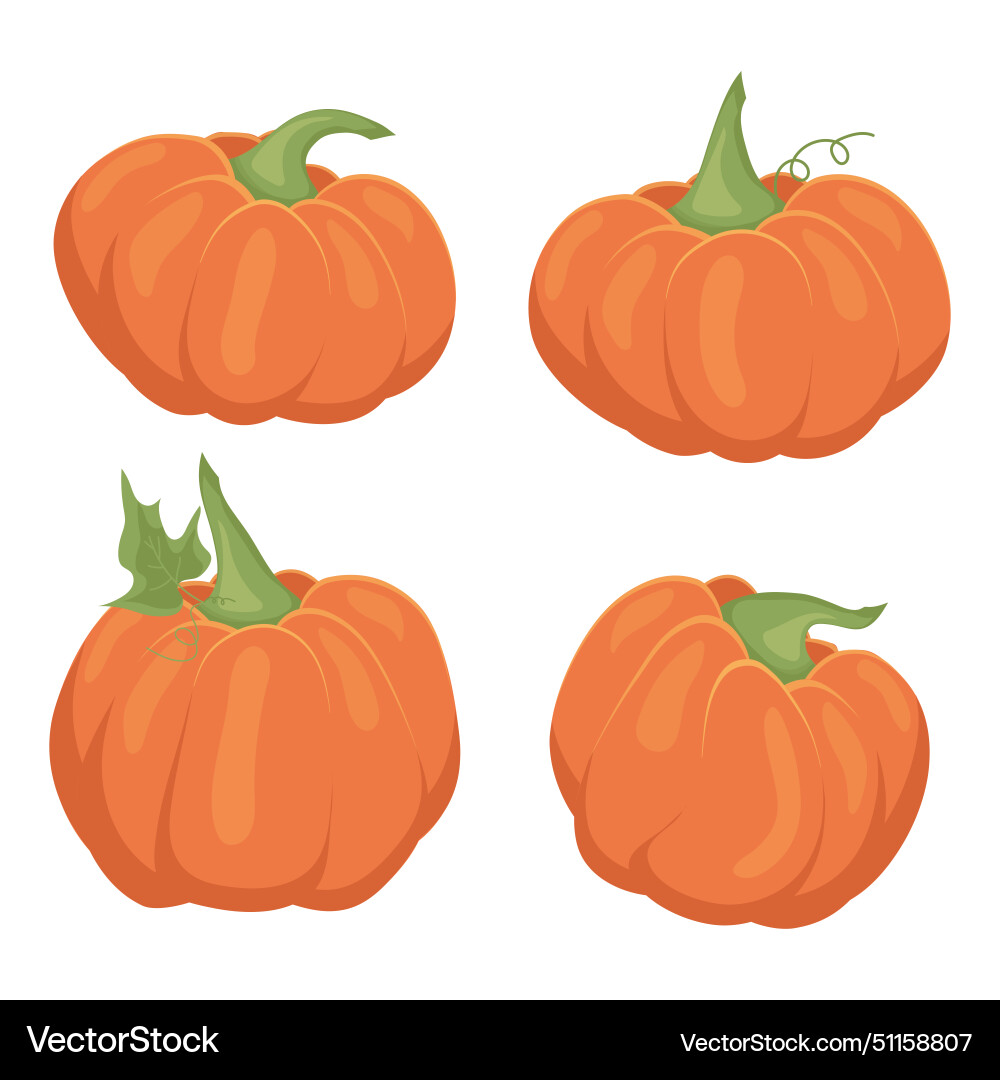 Set of pumpkins Royalty Free Vector Image - VectorStock