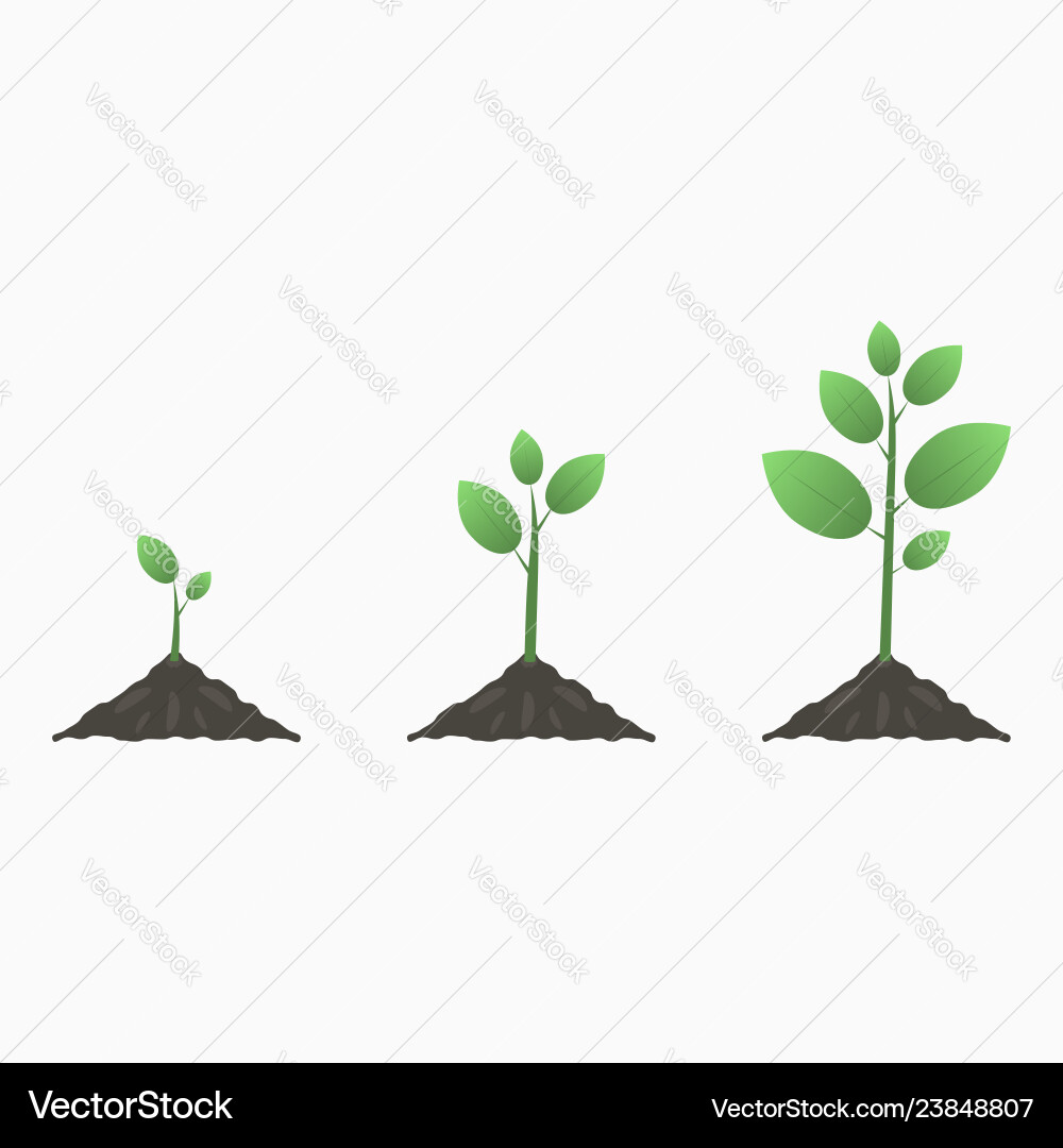 Tree growth Royalty Free Vector Image - VectorStock