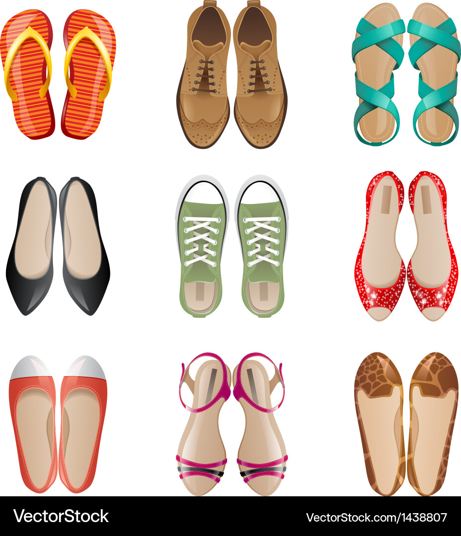 Women shoes Royalty Free Vector Image - VectorStock