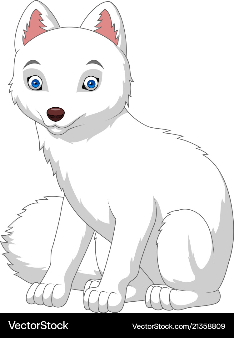 Cartoon arctic fox isolated on white background Vector Image