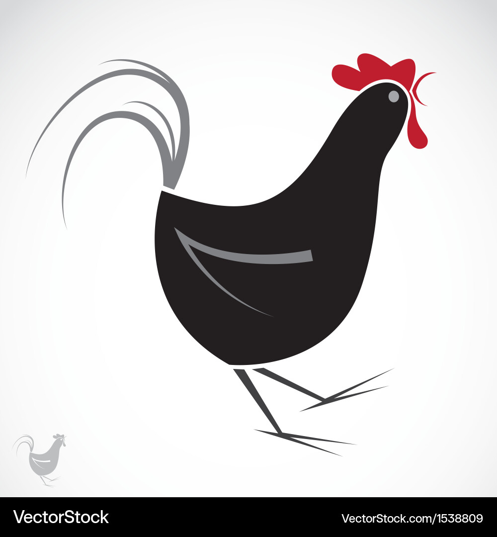 Chicken Royalty Free Vector Image - VectorStock