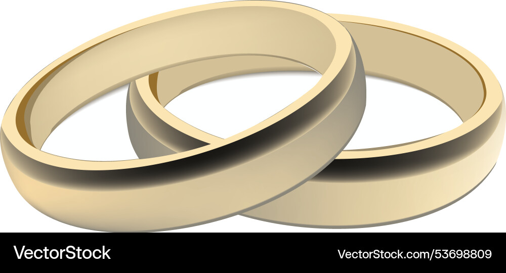Two golden wedding rings intertwined symbolizing Vector Image