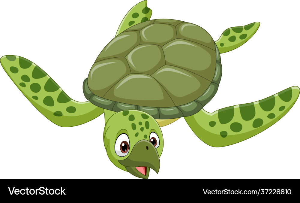 Cartoon sea turtle on white background Royalty Free Vector