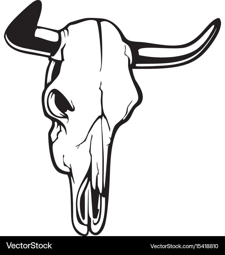 Cow Skull Icon - Realistic Royalty Free Vector Image