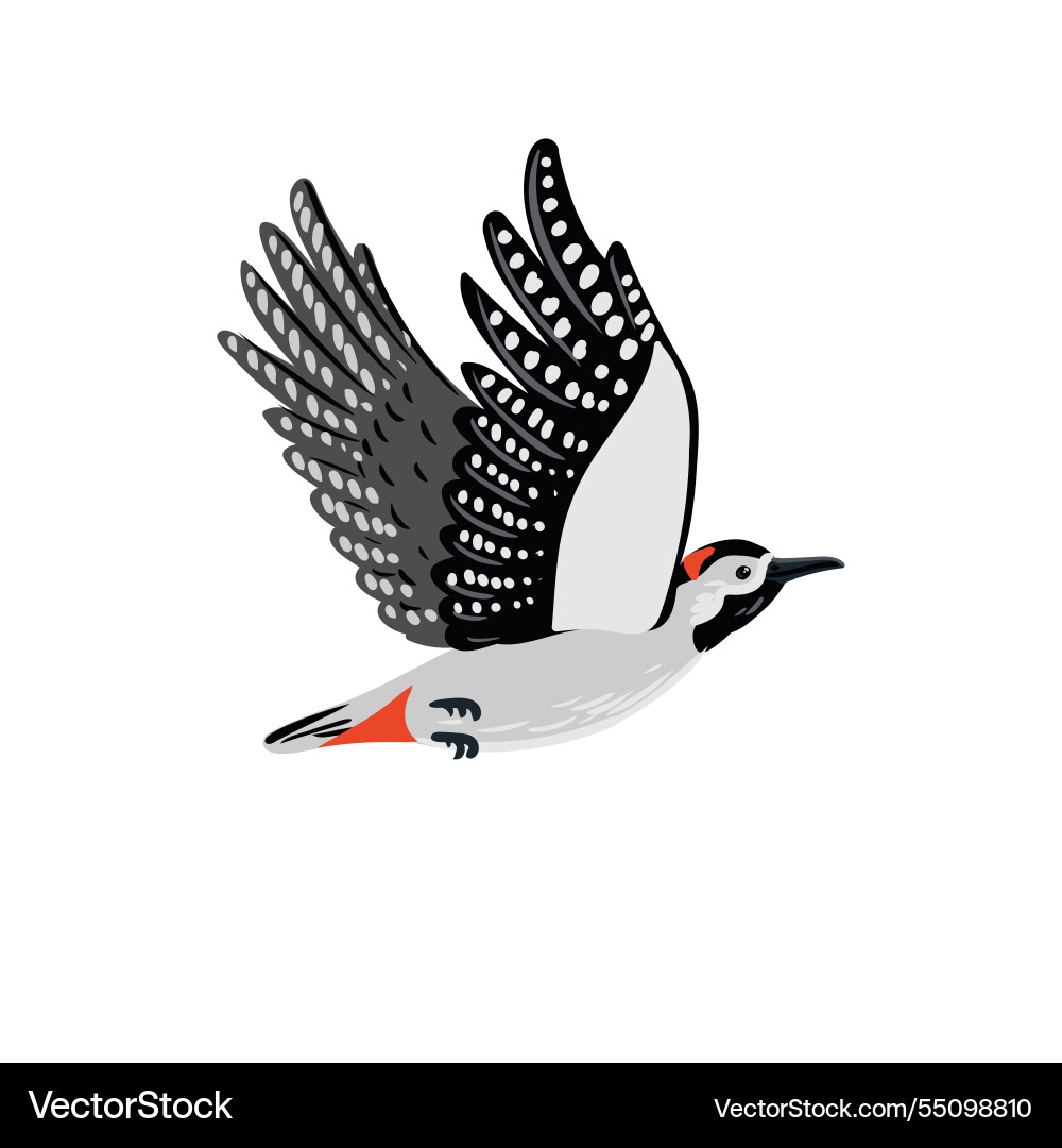 Drawing bird Royalty Free Vector Image - VectorStock
