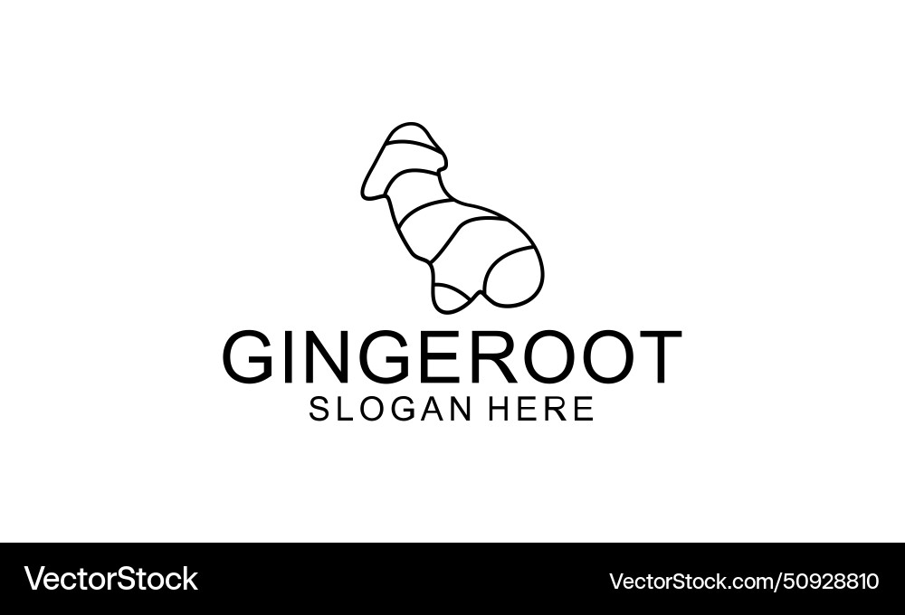 Ginger root logo round linear logo of ginger Vector Image