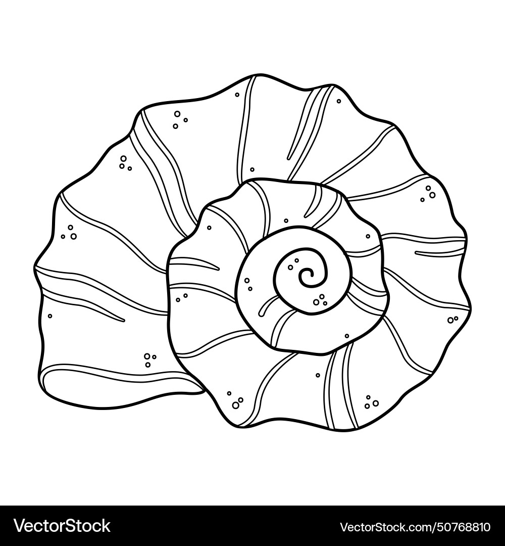Seashell black and white outline art therapy Vector Image
