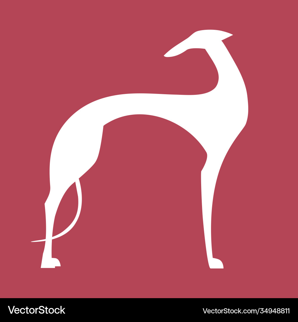 Greyhound dog silhouette Royalty Free Vector Image