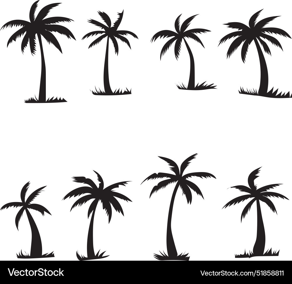 Palm tree leaves Royalty Free Vector Image - VectorStock