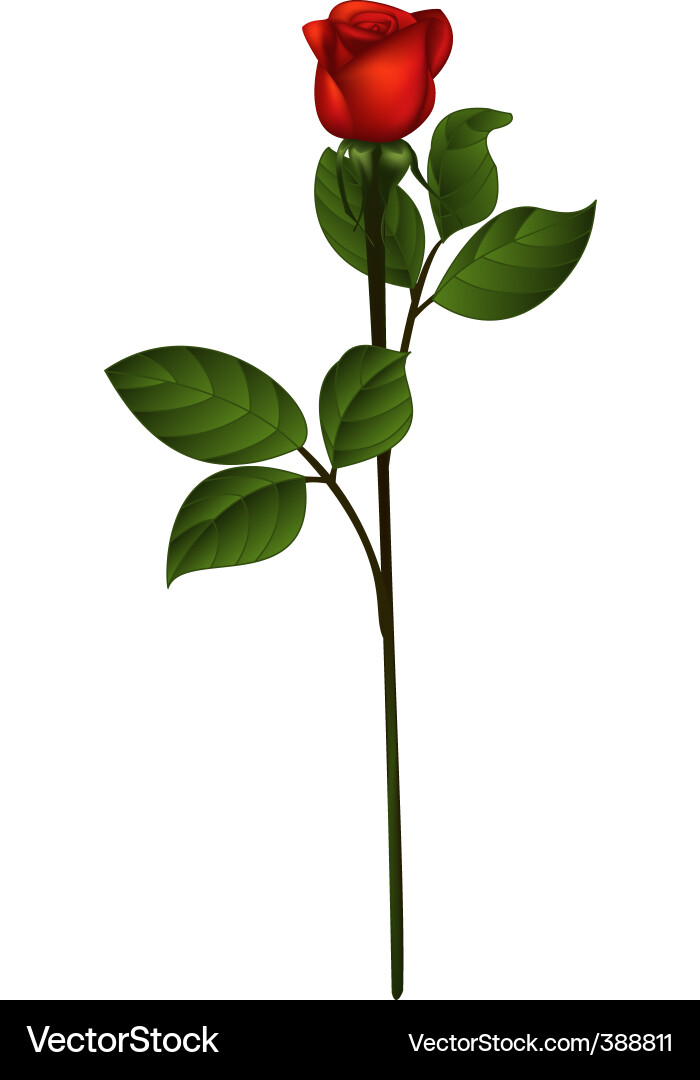 Sepals Vector Images (over 450)