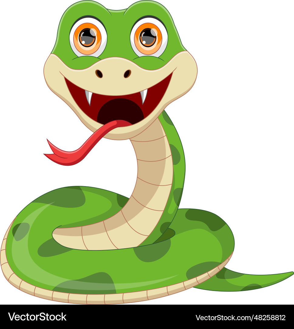 Cute snake cartoon Royalty Free Vector Image - VectorStock